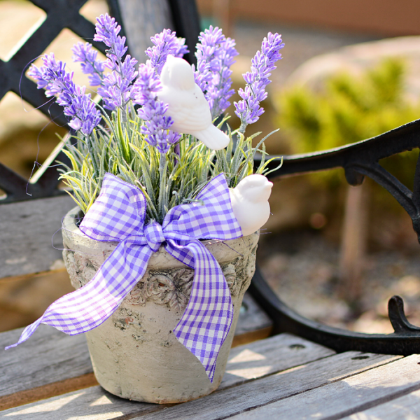 AS 10 FLORES MAIS PERFUMADAS | CONFIRA NOSSA LISTA