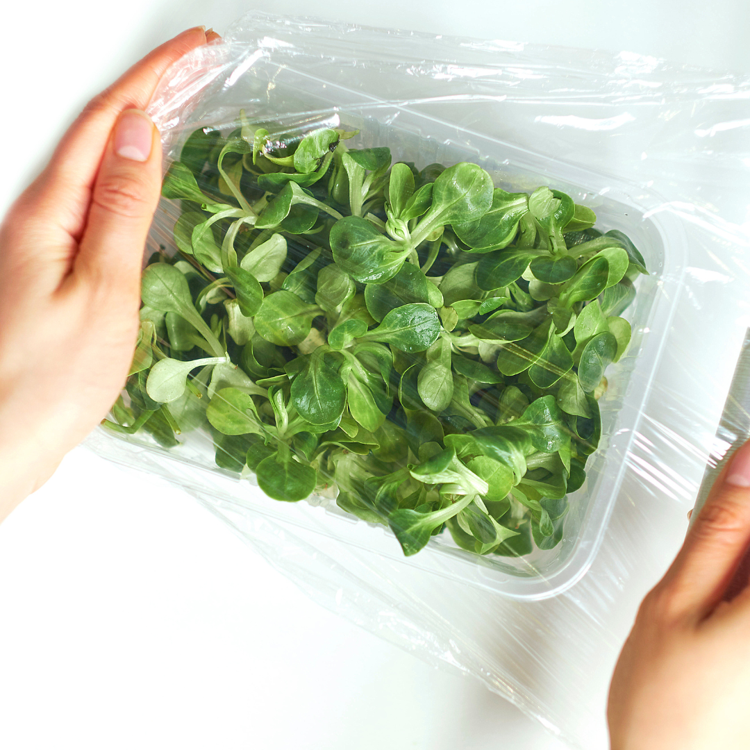 Ora Pro Nobis Fruto: Saiba Como Cultivar em Casa